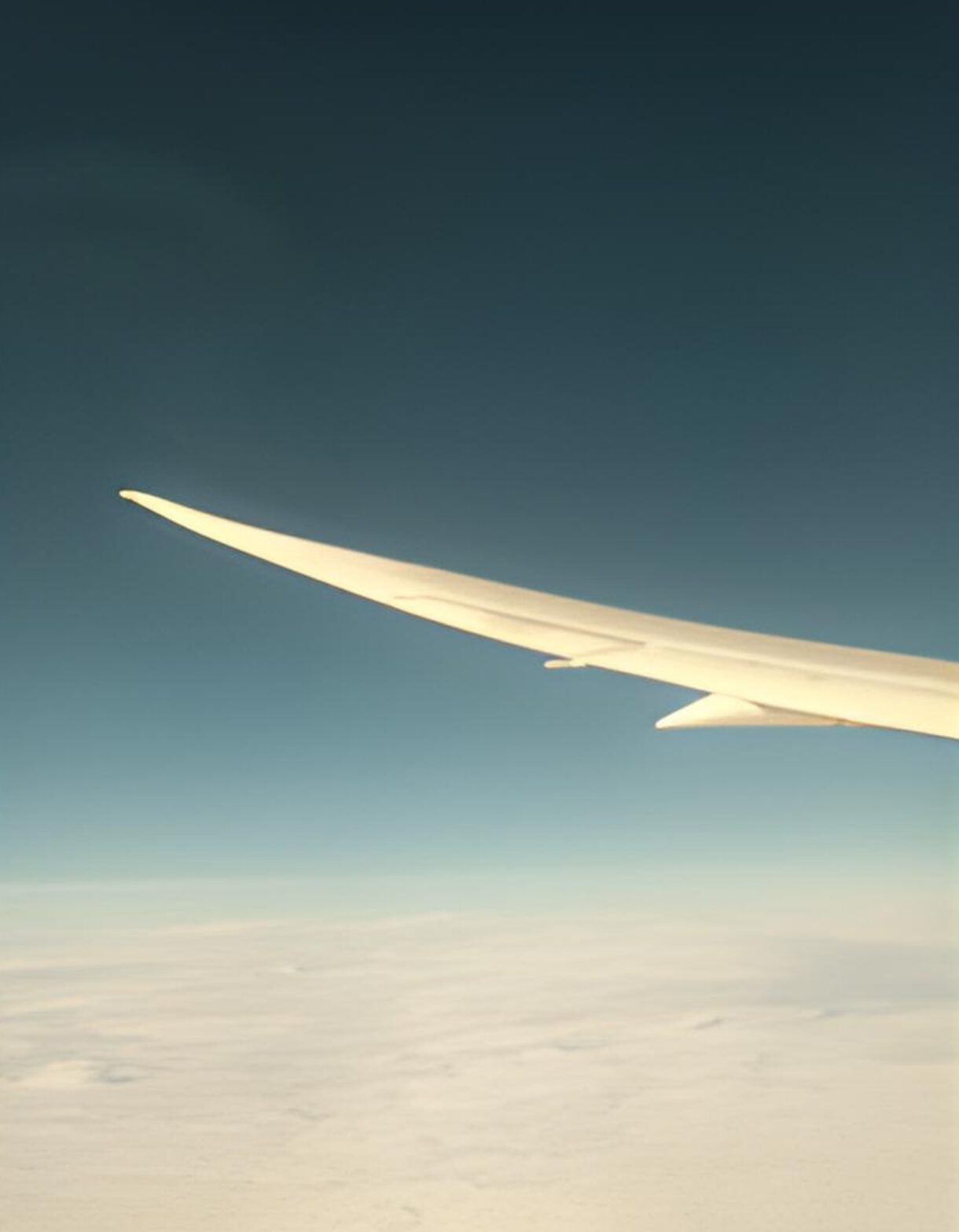 データマネジメントの未来を拓く次世代プラットフォーム | NSWのデジタルトランスフォーメーション DX FIRST | NSW